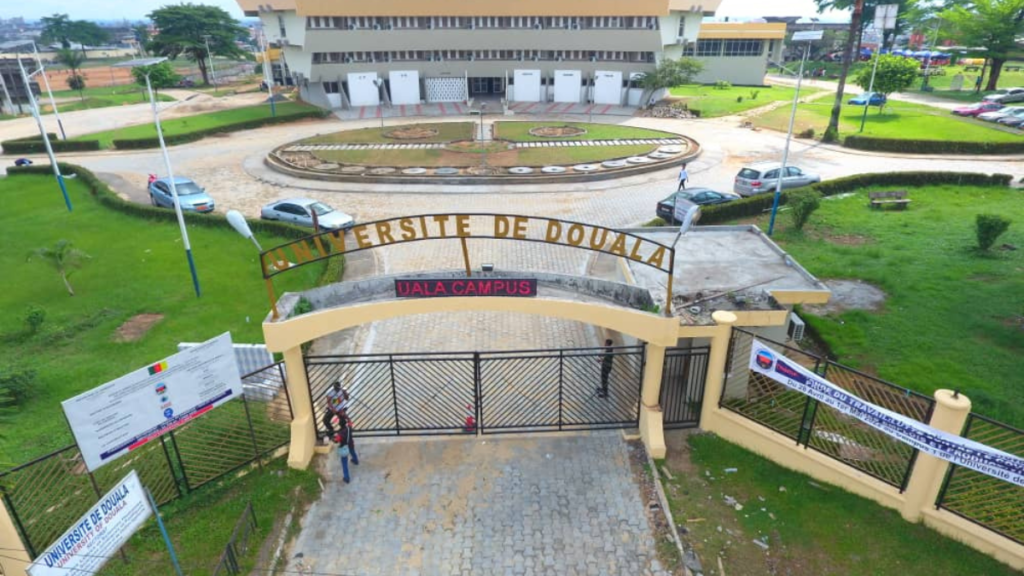 MTN Cameroon lance la célébration de ces 20 ans - CAMEROON CEO